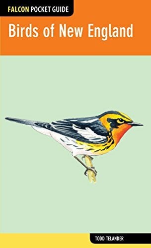 Telander, Todd Birds of New England (Falcon Pocket Guides) – Zweitliebe ...