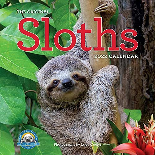 Workman Calendars 2022 the Original Sloths Calendar: 12 Months of Irre ...